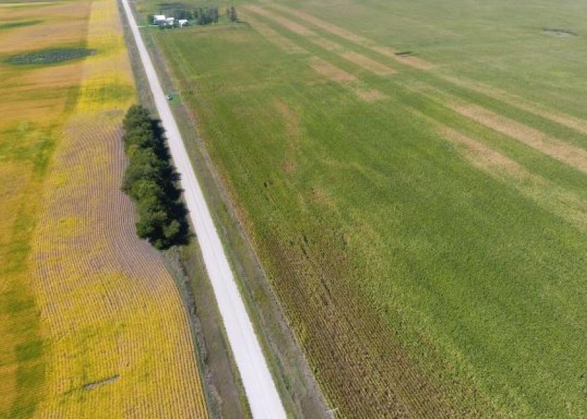 Agronomic Phenomenon in Corn Strikes Outer Rows of Fields, Strips Yield | AgWeb